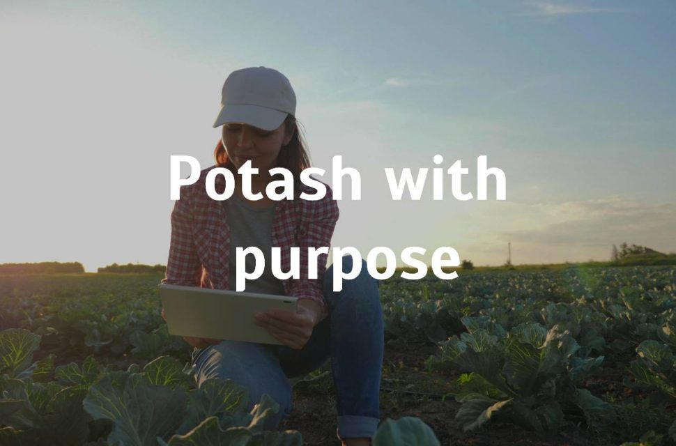 Home - GensourceGensource